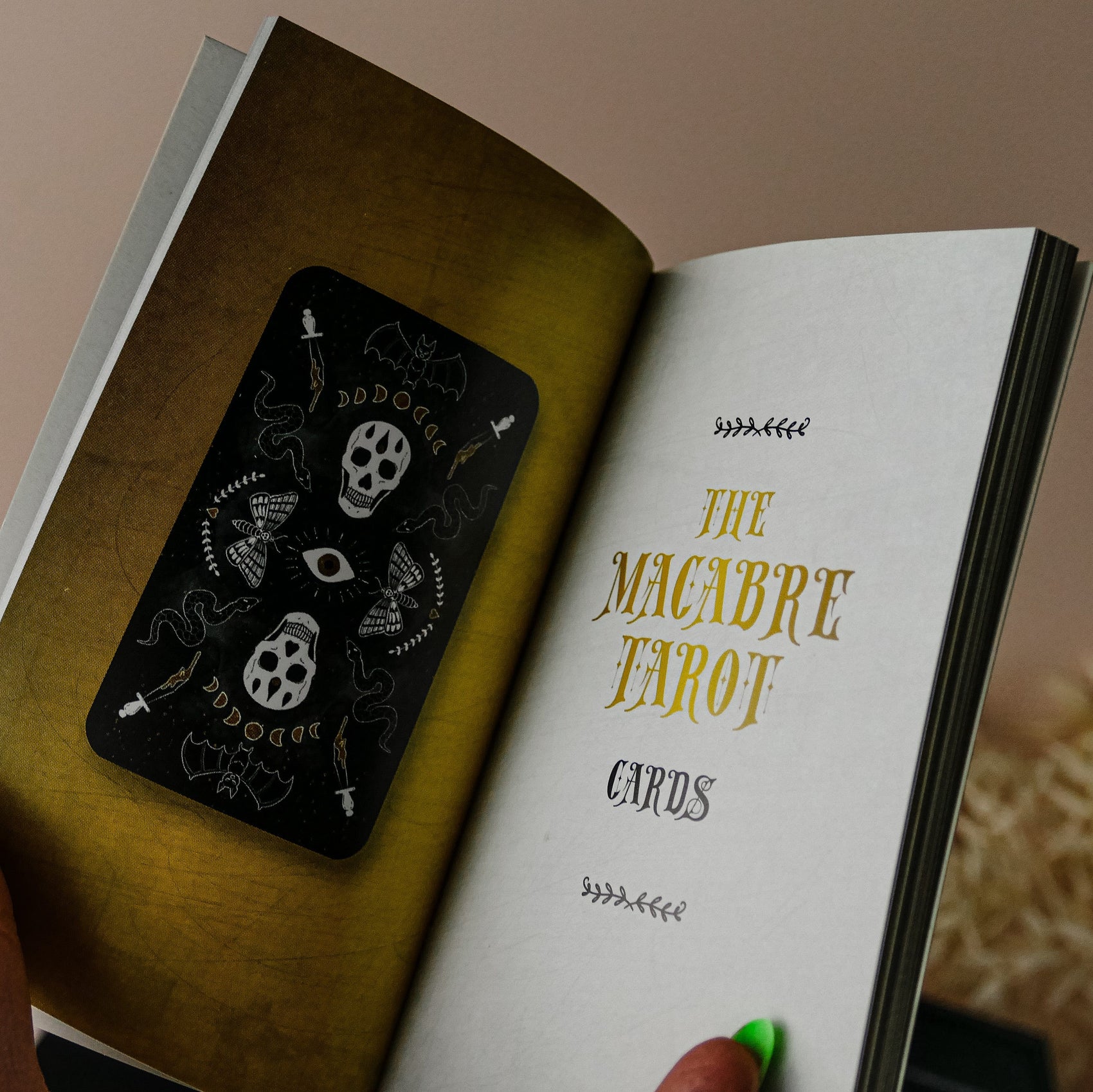 The Macabre Tarot - Tarot Karte - Samantha West